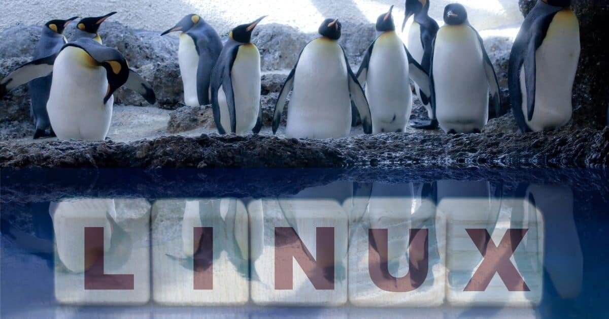 How to Choose the Best Linux Distribution - Mr. Tech Tools